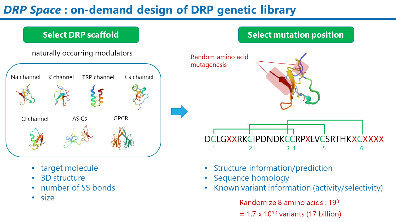 Technology – VENENO TECHNOLOGIES
